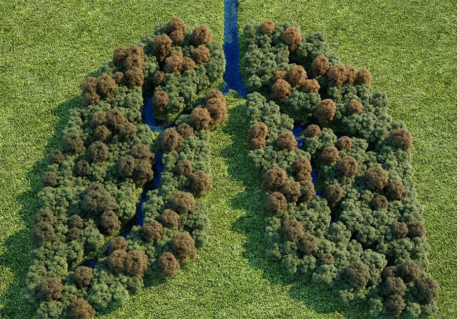 Evaluation of the lung function and related parameters among clothes ...